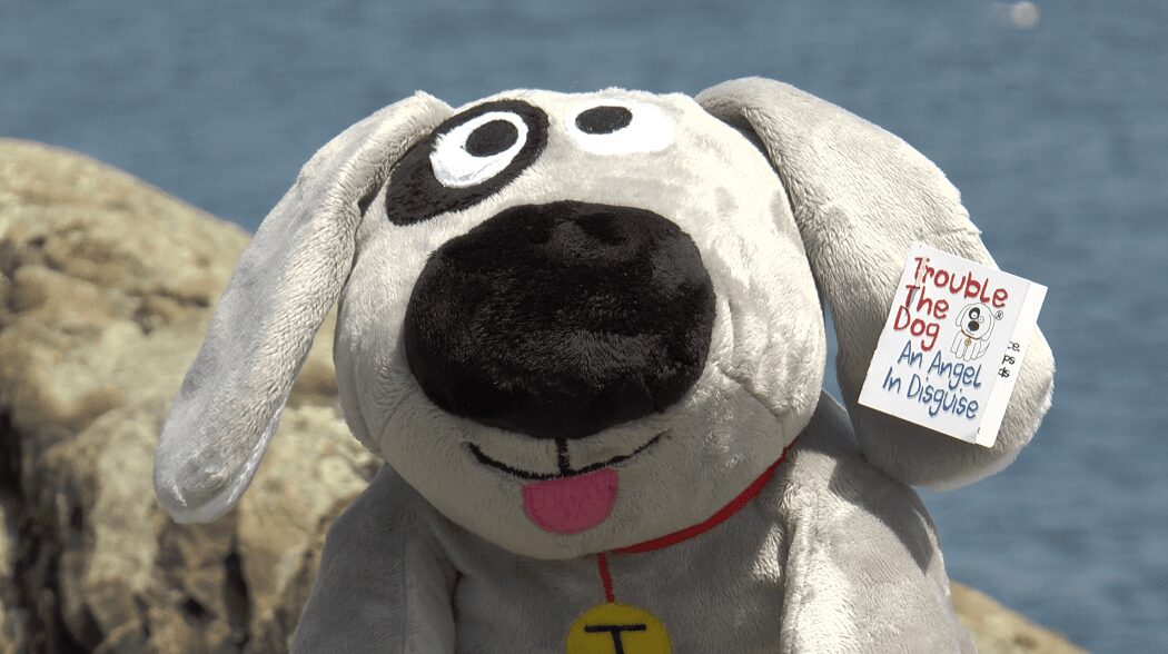 Good Trouble: Plush Comfort Dog Helps Ease Anxiety of Sunset Point ...